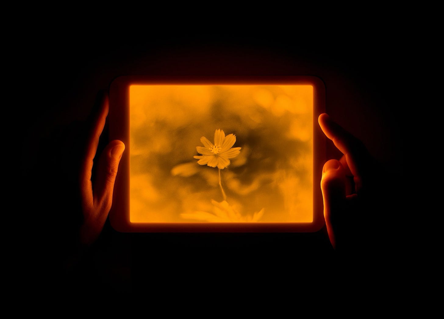 Product Lost by @hipcityreg | Reggie James | Substack