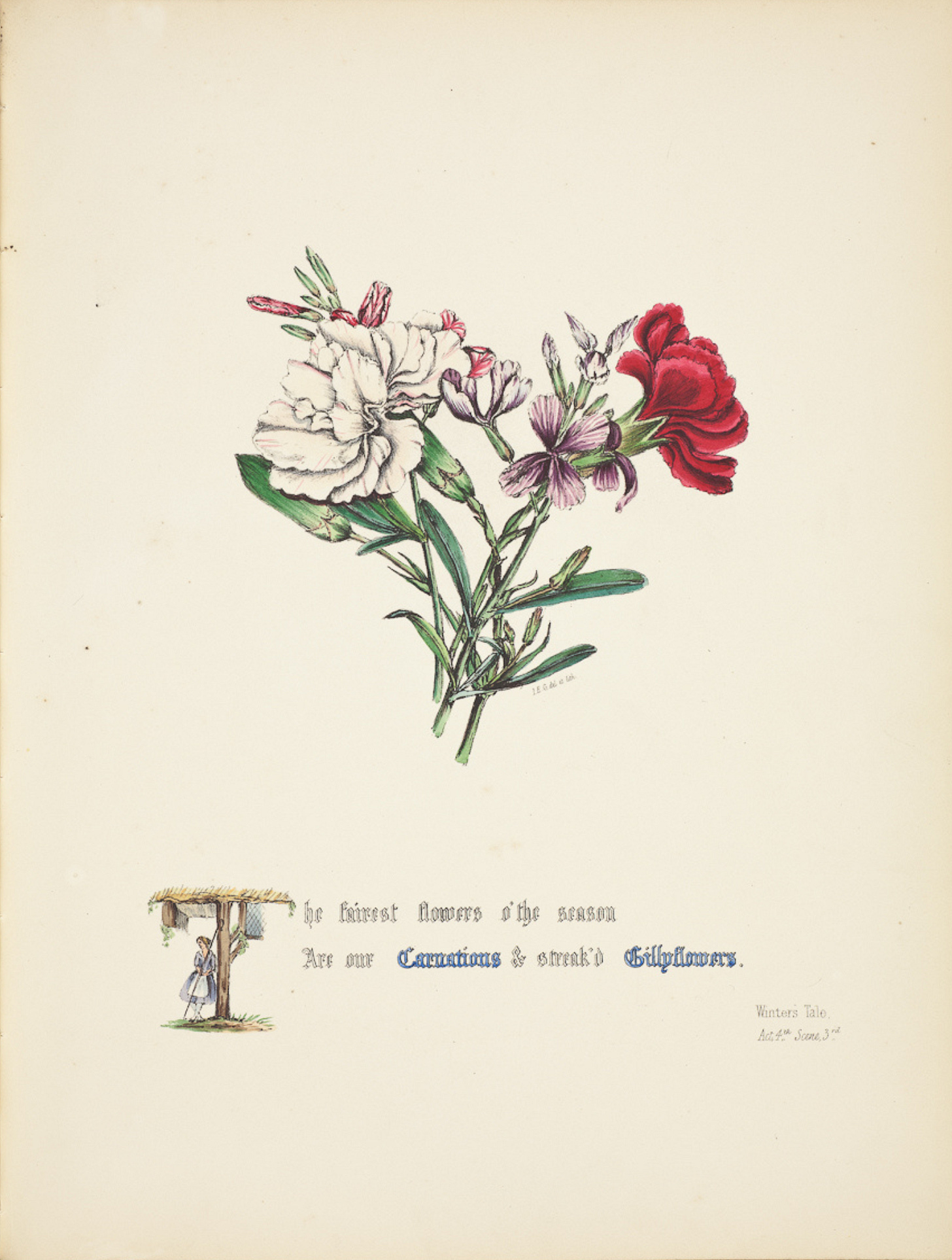 The Shakespeare Garden: Jane Elizabeth Giraud's Posies and Elizabethan ...