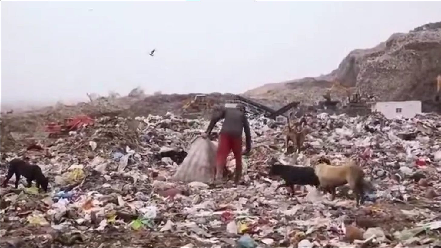 FILM REVIEW India: The Worst Country on Earth (2024)