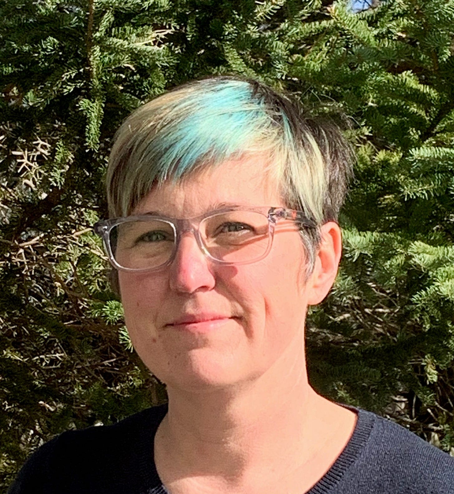 Val Peacock - by Carrie Jones - Bar Harbor Story