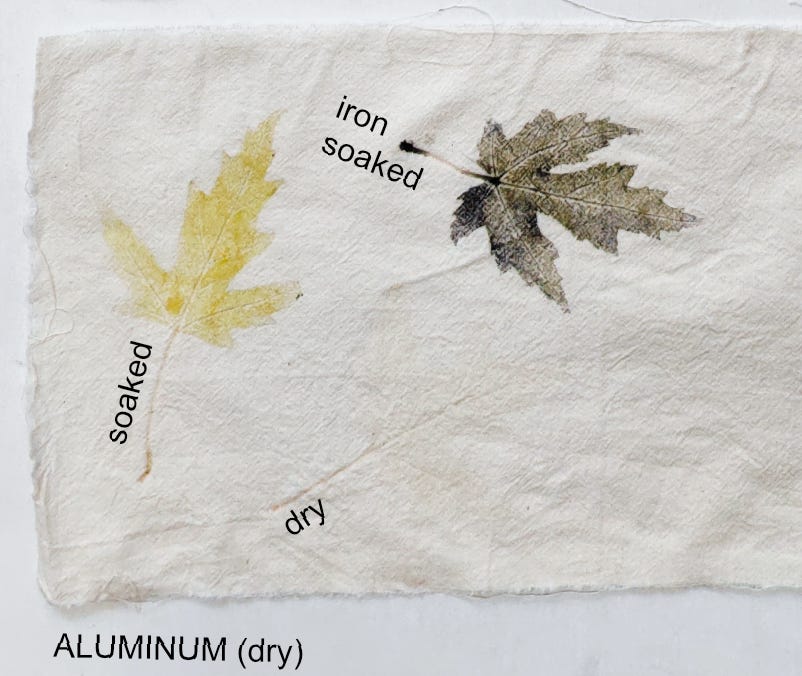 Printing with leaves - by Ania Grzeszek - Kaliko Journal