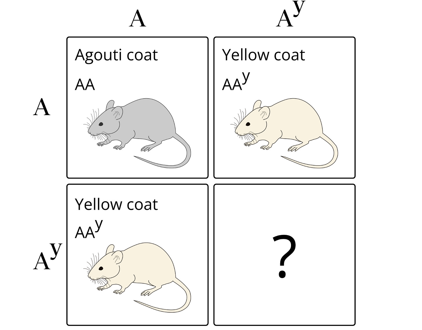 Origins of the Lab Mouse - by Asimov Press and Alex Telford