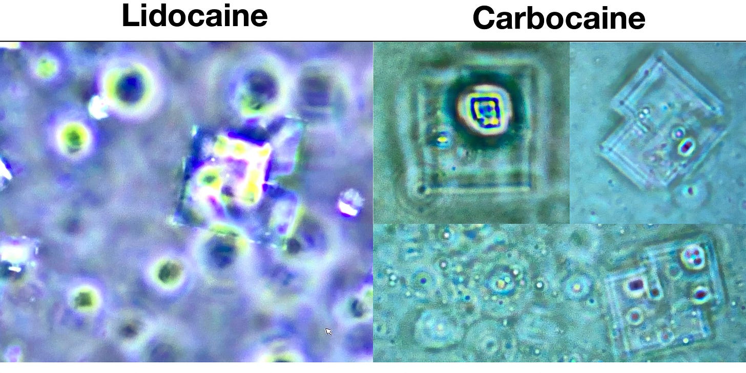 Comparative Morphology of Microchips Assmebled in Dental Anaesthetics ...