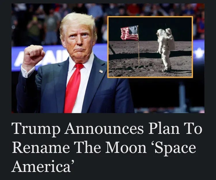 Ann Barnhardt Meme Barrage - Edwin’s Newsletter #1