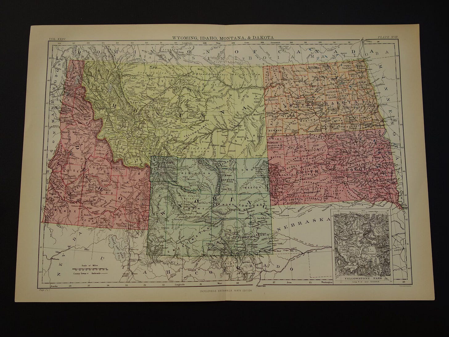 Pitchforked Nation - by Nina Burleigh - American Freakshow