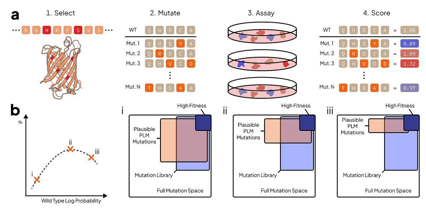 Portal Weekly #65: protein design competition, one-shot design of ...