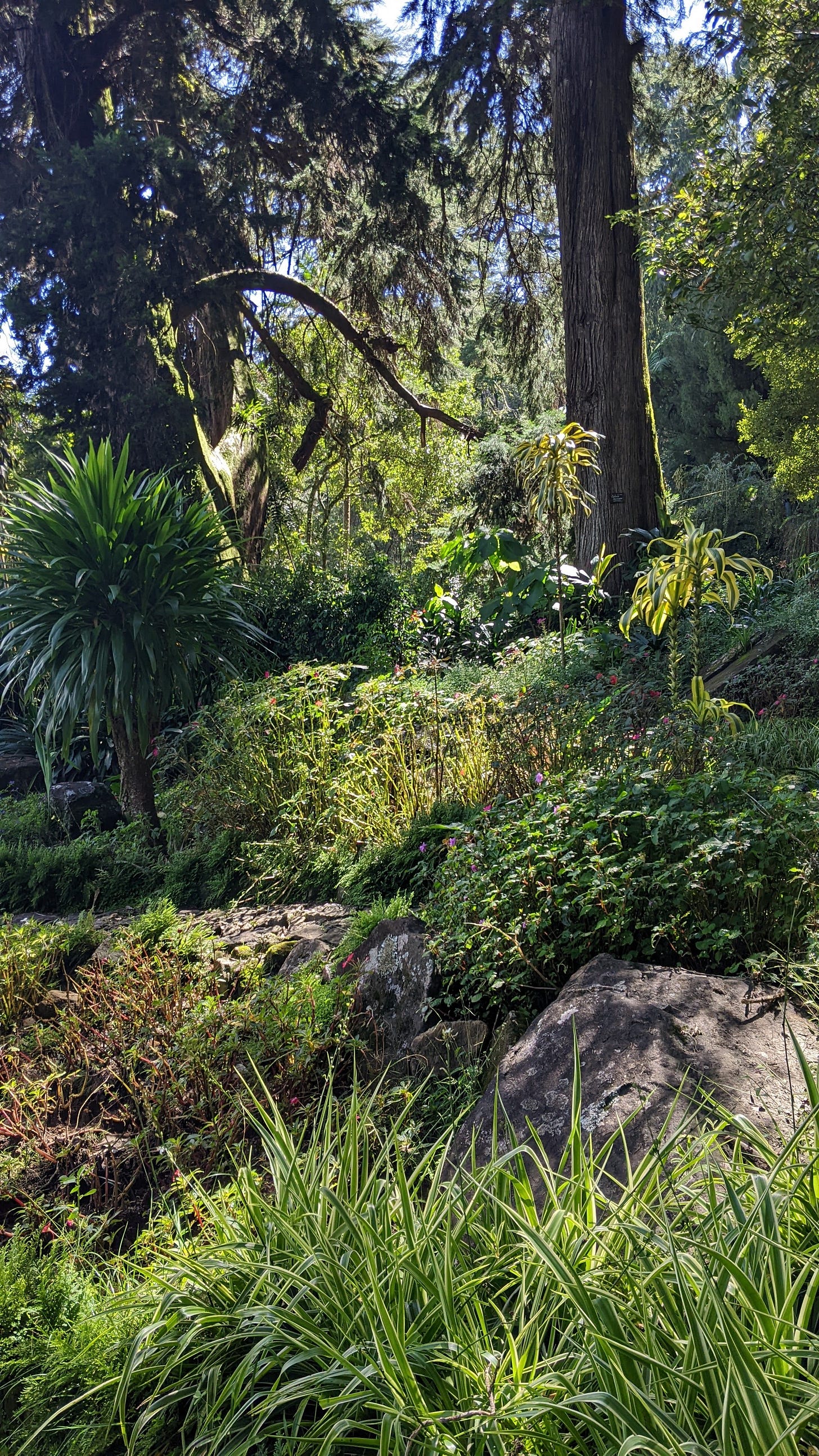 Balkan Ecology Project