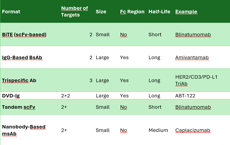 Multispecific Antibodies (msAbs), A Complete Overview