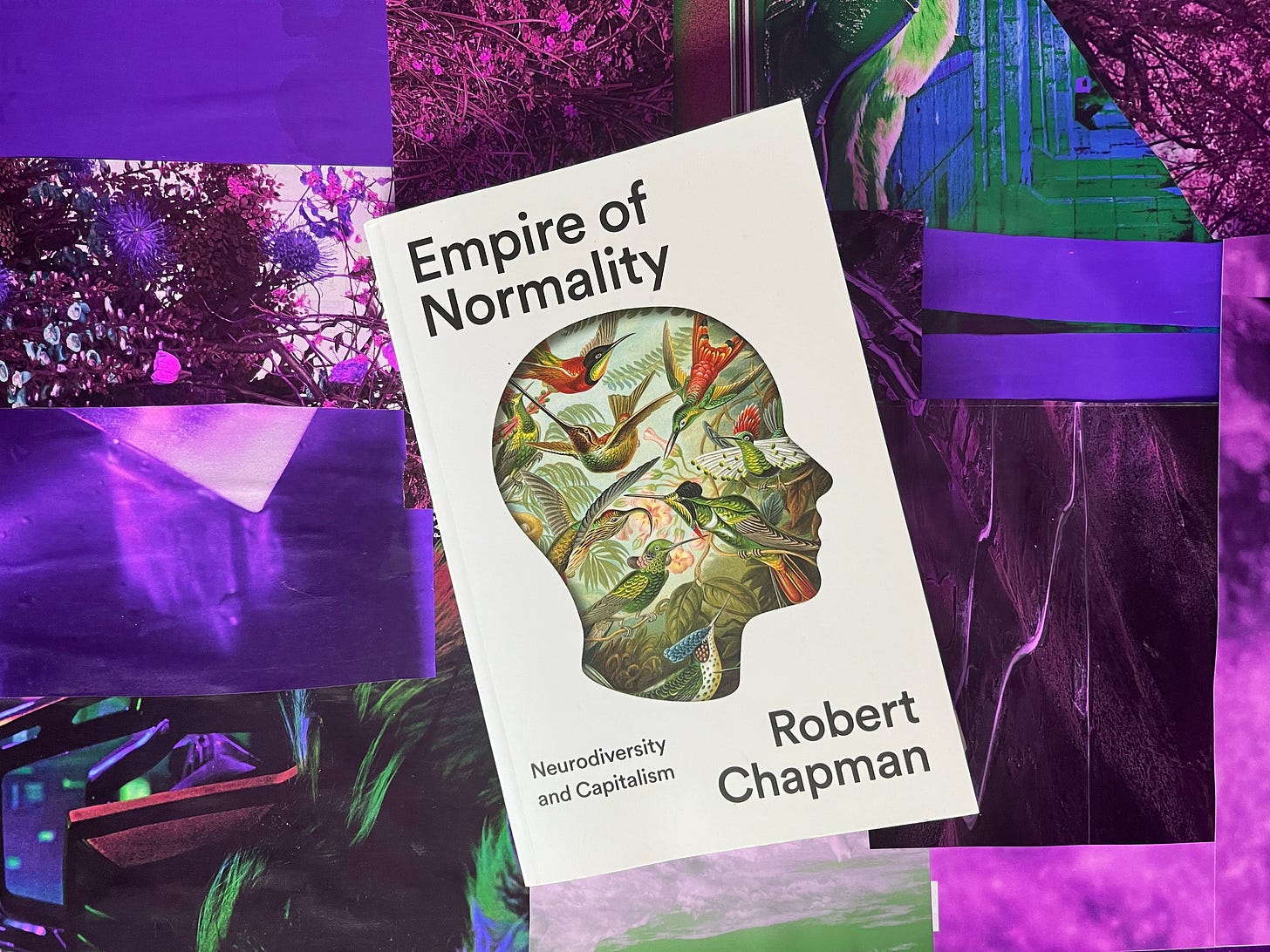 An Interview w/ Robert Chapman on Living in an Empire of Normality