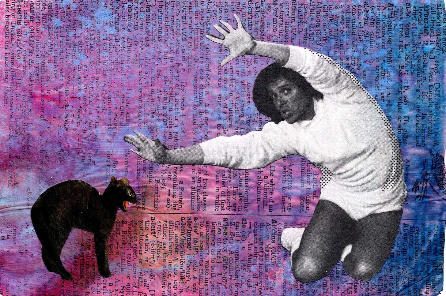 Richard Simmons exercising with cats - by Jen Russell