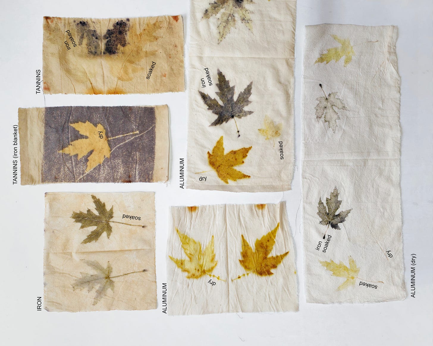 Printing with leaves - by Ania Grzeszek - Kaliko Journal