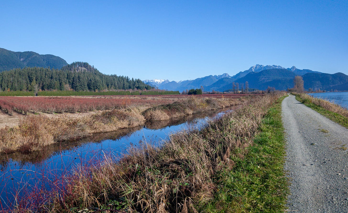 Walking the Slough - by Rich Sobel - Taking the Good Road