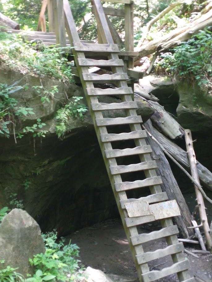 Discovering Turkey Run State Park