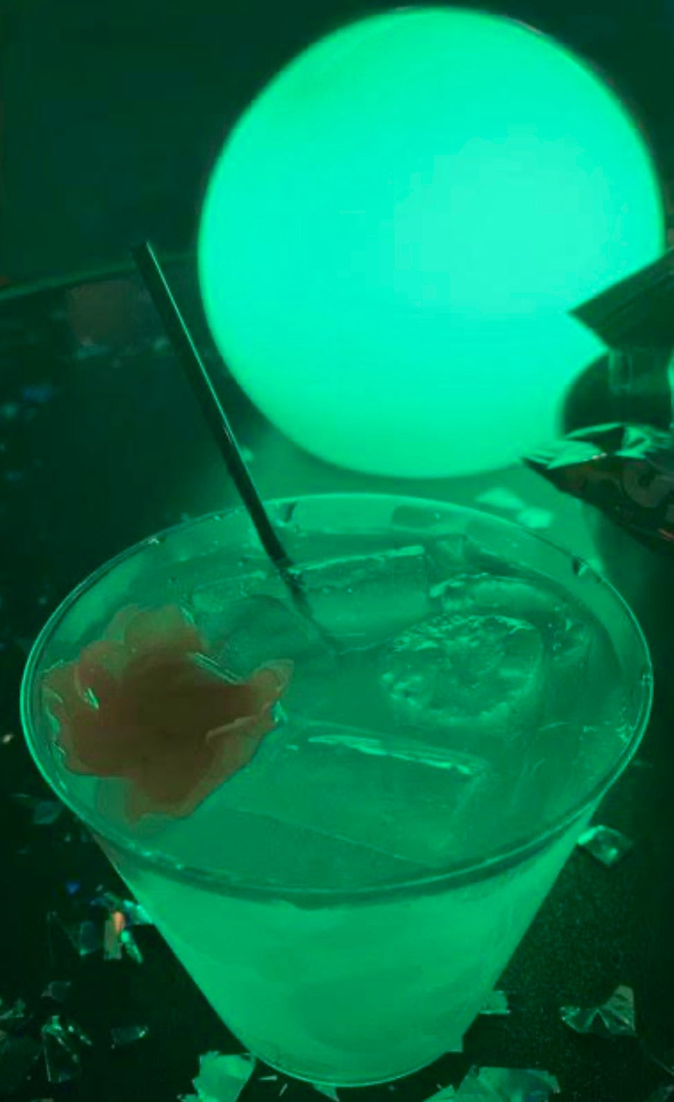 What Did Dorothy Eat? - by Jolene Handy