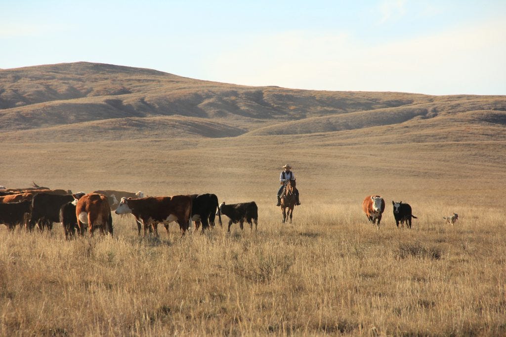 Neighbors of indicted South Dakota ranchers speak to decades of ...