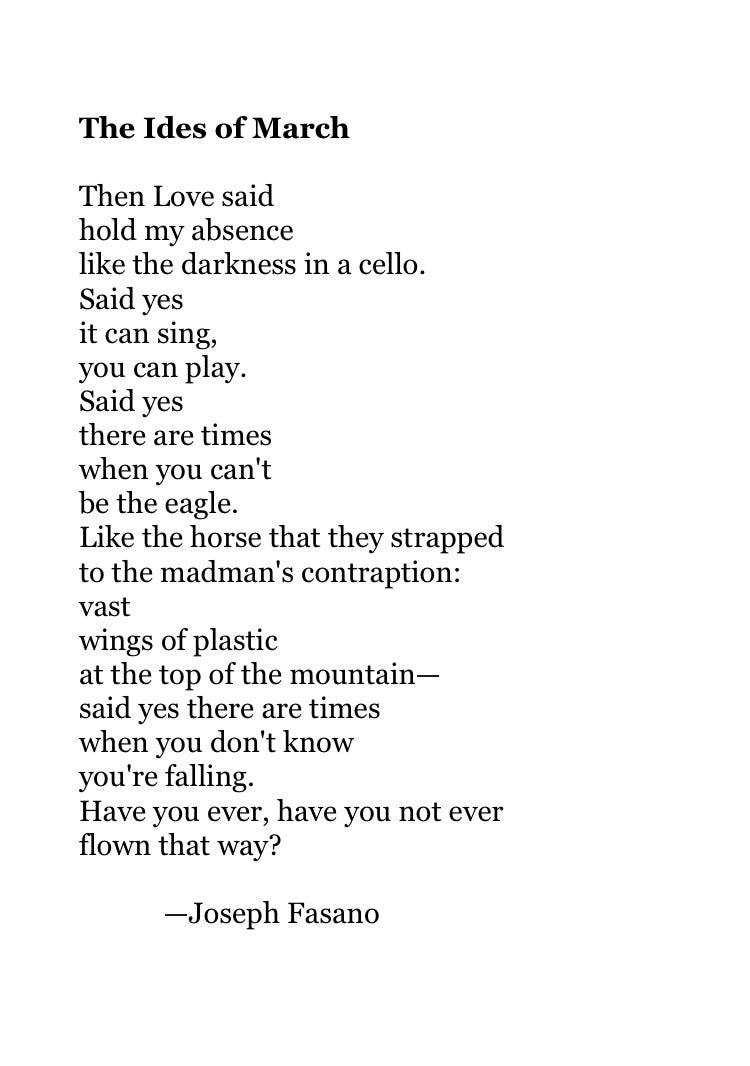 New Poem (exclusive) - Joseph Fasano