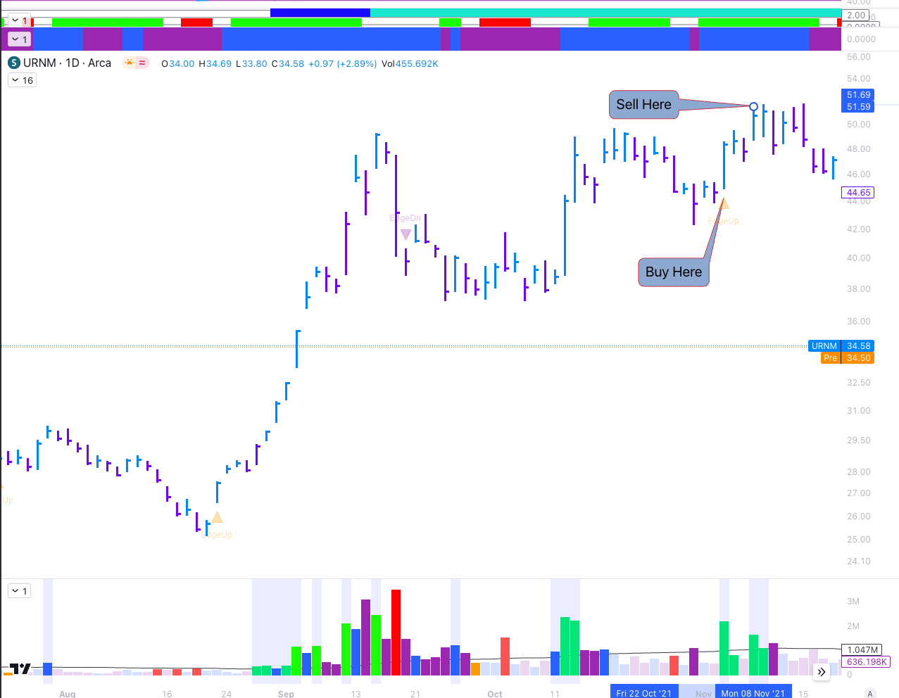 Mastering the Market: The Trading Performance of Mark Ritchie