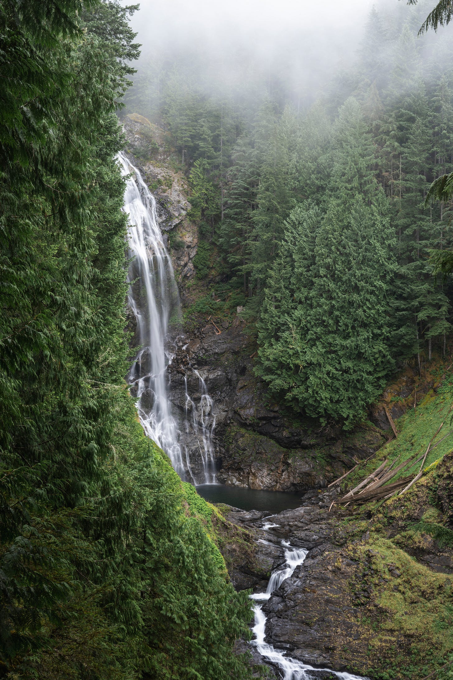 In Pictures, a PNW Summer