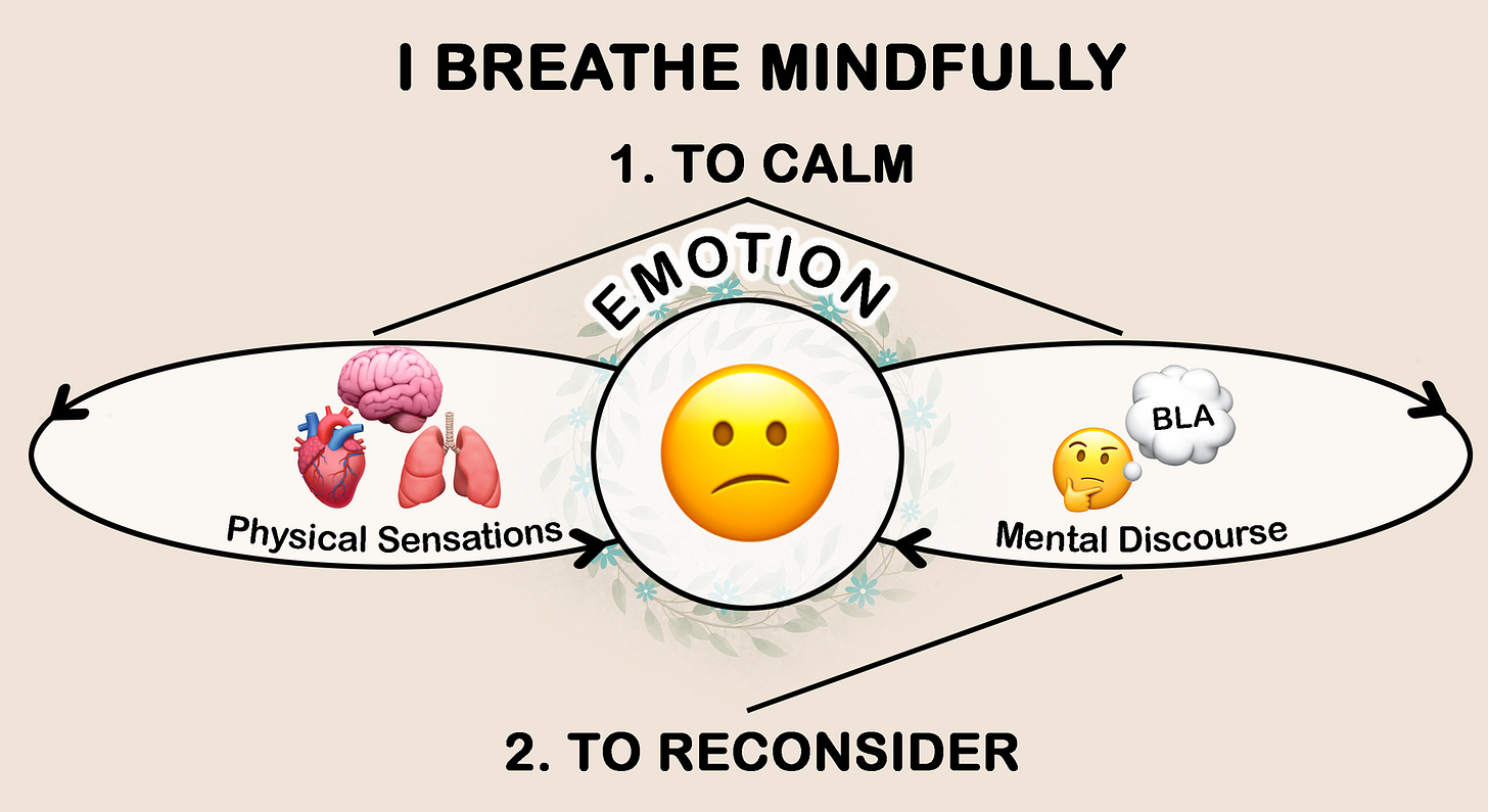 Mindfulness (6/6): Mindfulness of Emotions 2 and Conclusion - Wake Up ...