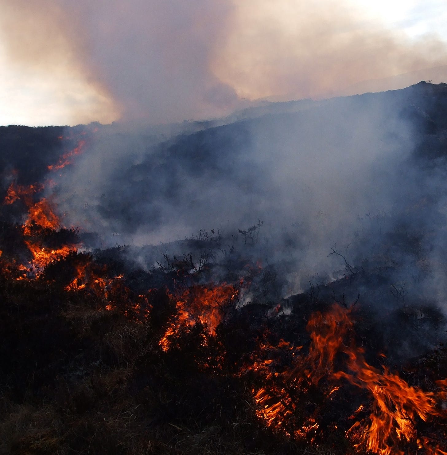 Guest Blog: Wildfire Risks in the Highlands: A Ranger’s Perspective ...