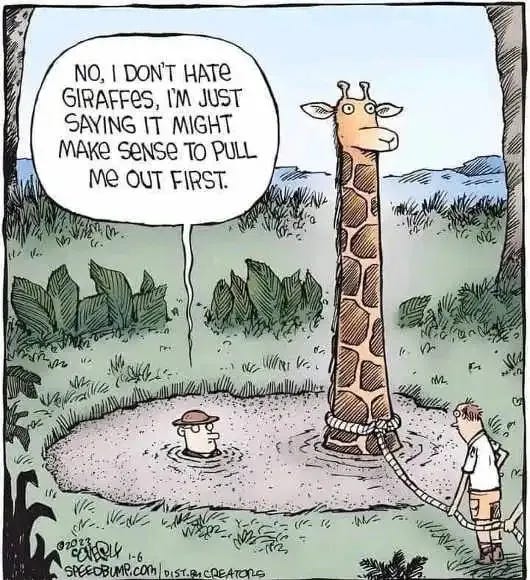 Ann Barnhardt Meme Barrage - Edwin’s Newsletter #1