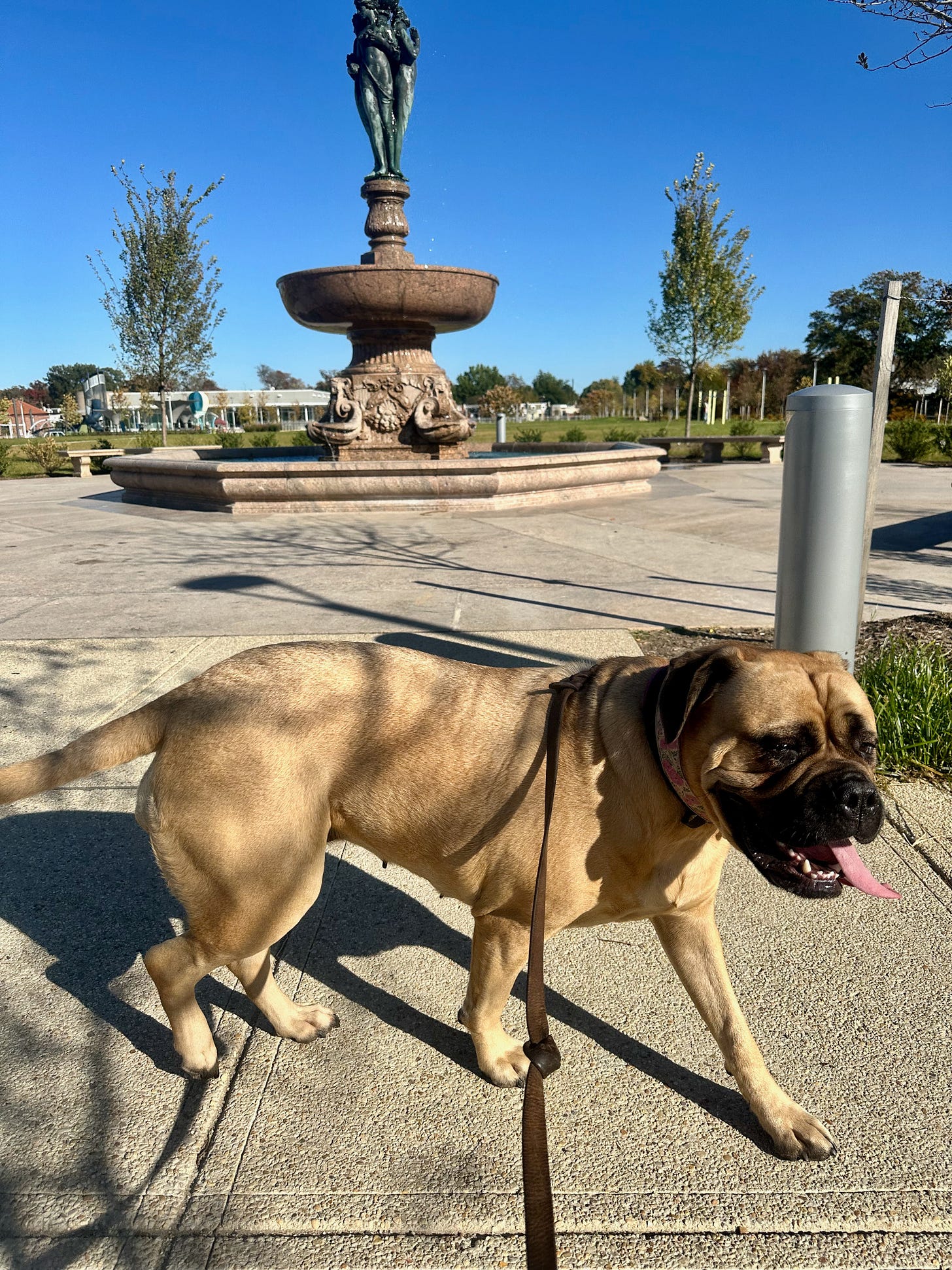 Cocktails With Suderman | Peter Suderman | Substack