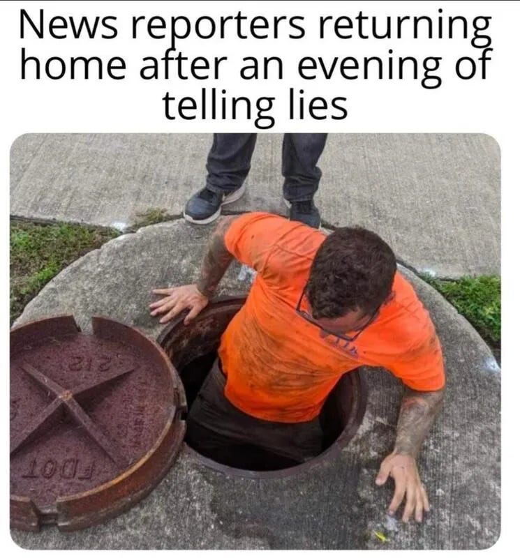 Ann Barnhardt Meme Barrage - Edwin’s Newsletter #1