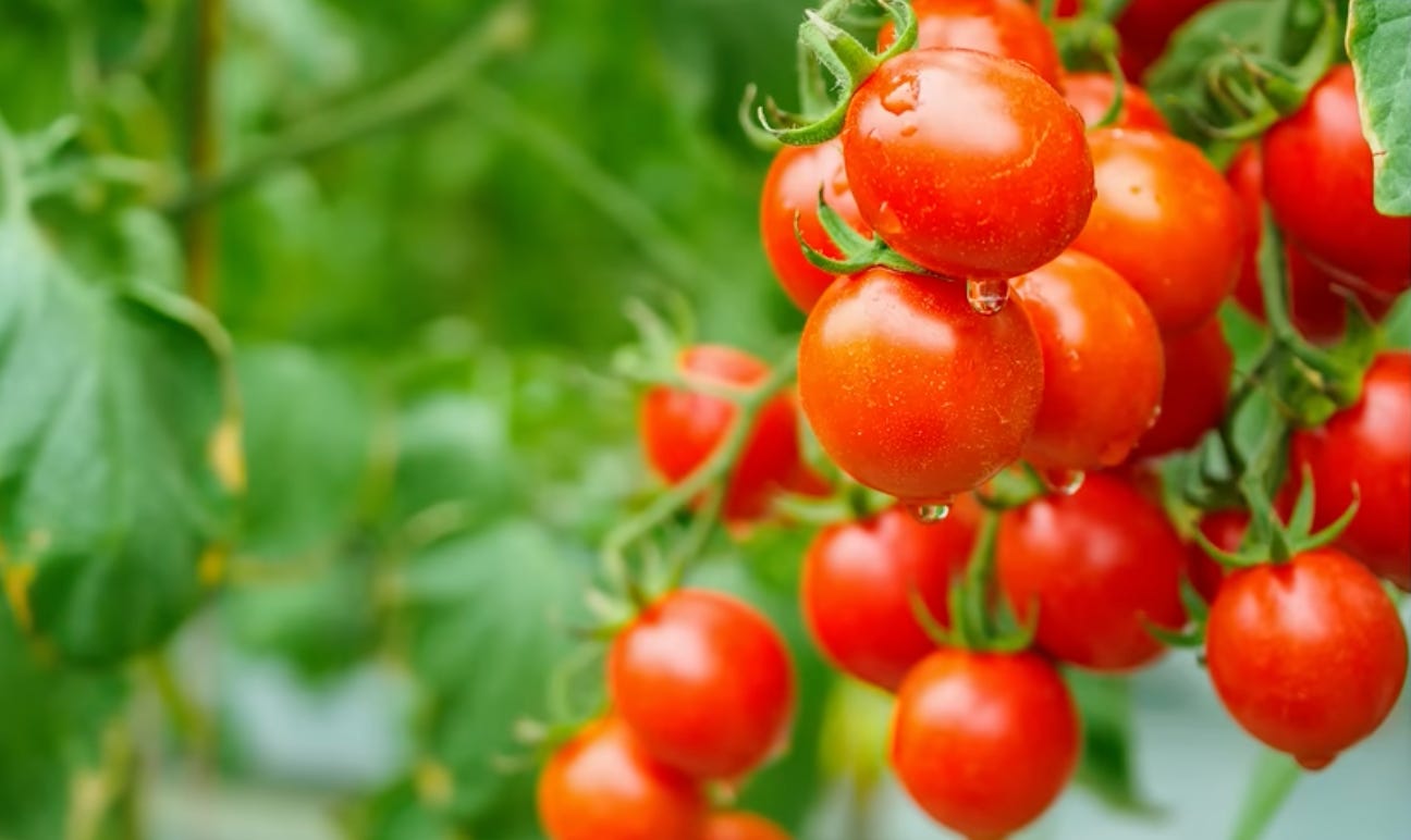 Shared post - LIVE: Trump R-Word Epstein Claims + Israel Refuses Oct7th ...