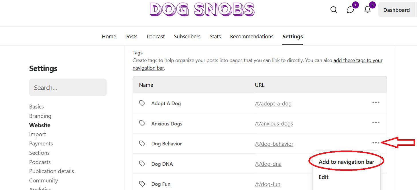 You Might Not Know How Useful Substack Post Tags Are