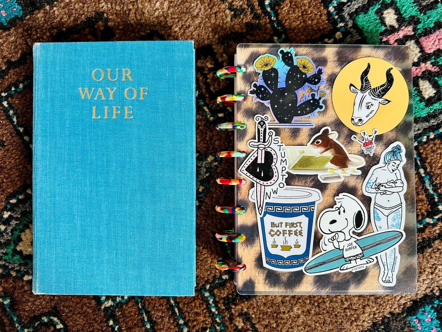 P.S. Some of My Favorite Notebooks on Substack - Noted