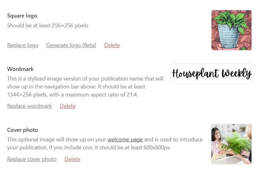 Creating a visual identity for your Substack