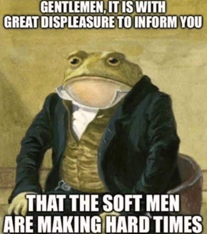 Ann Barnhardt Meme Barrage - Edwin’s Newsletter #1