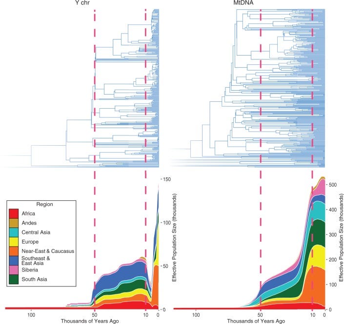 The Y Chromosome Bottleneck - by Andrew Cutler