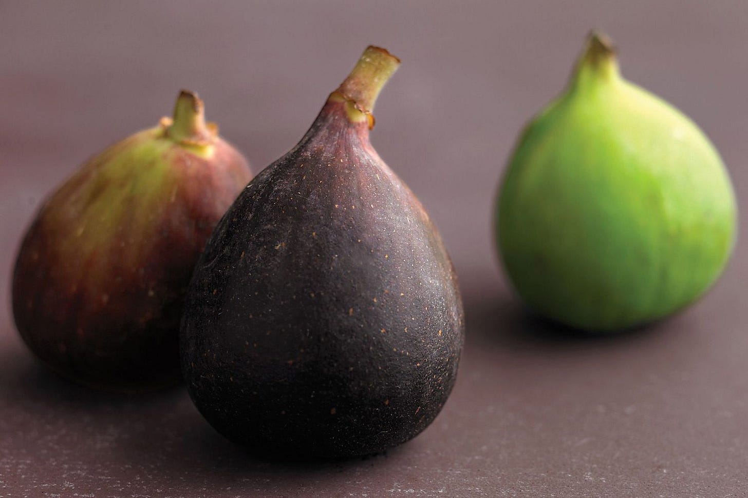 First Figs - by Mariya Strauss - The Creative Aid Society