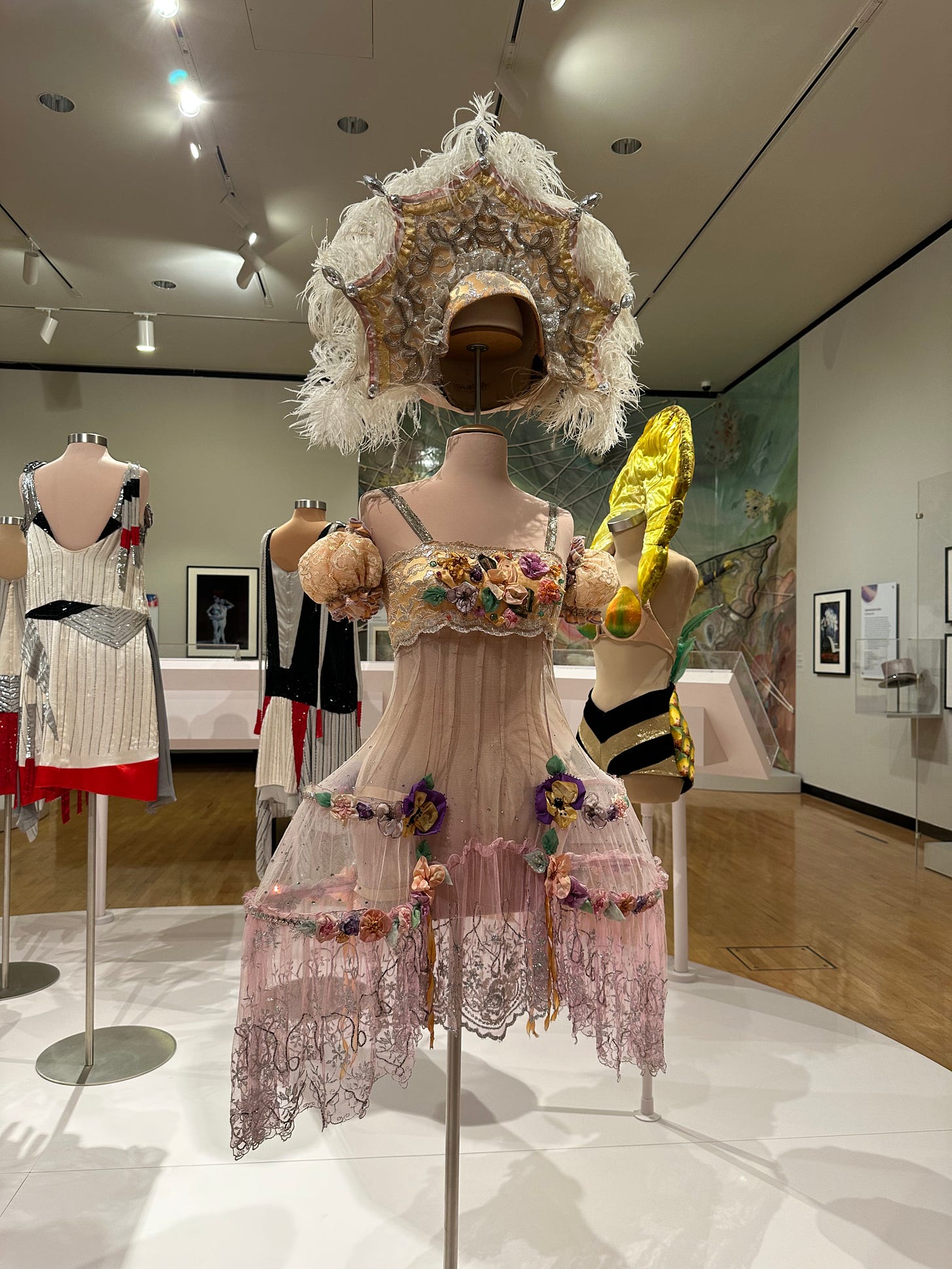 The Wondrous Willa Kim - by Laura McLaws Helms
