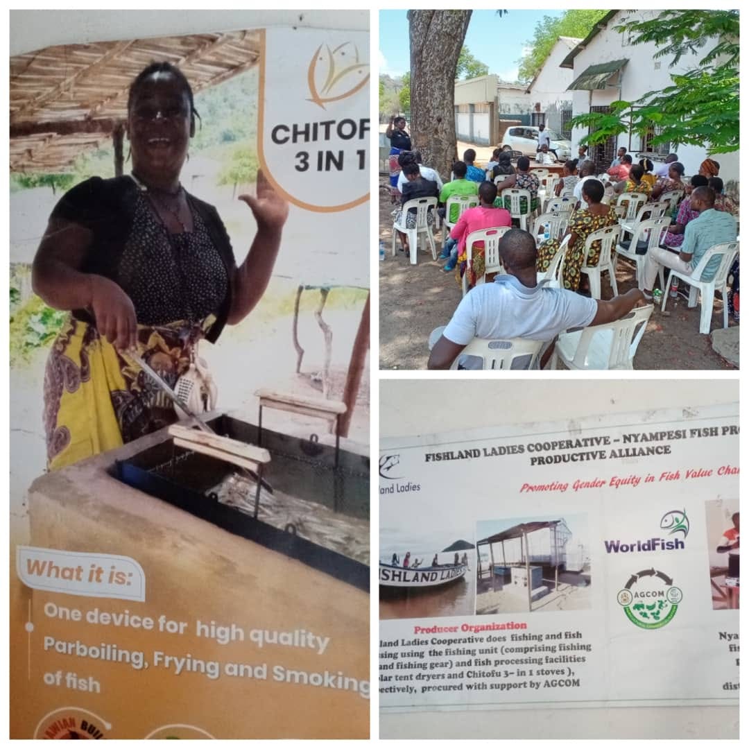 Fish Processors in Salima and Nkhotakota Learn Modern, Eco-Friendly ...