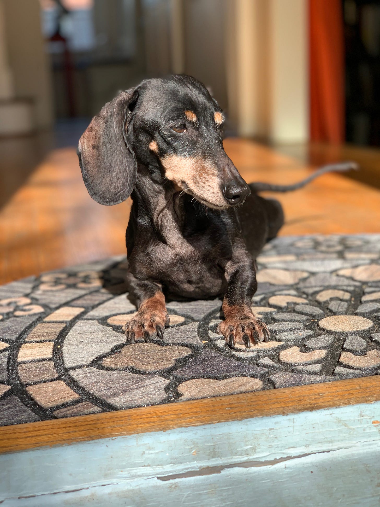 SPECTATORS - Part 80 - by Brian K. Vaughan