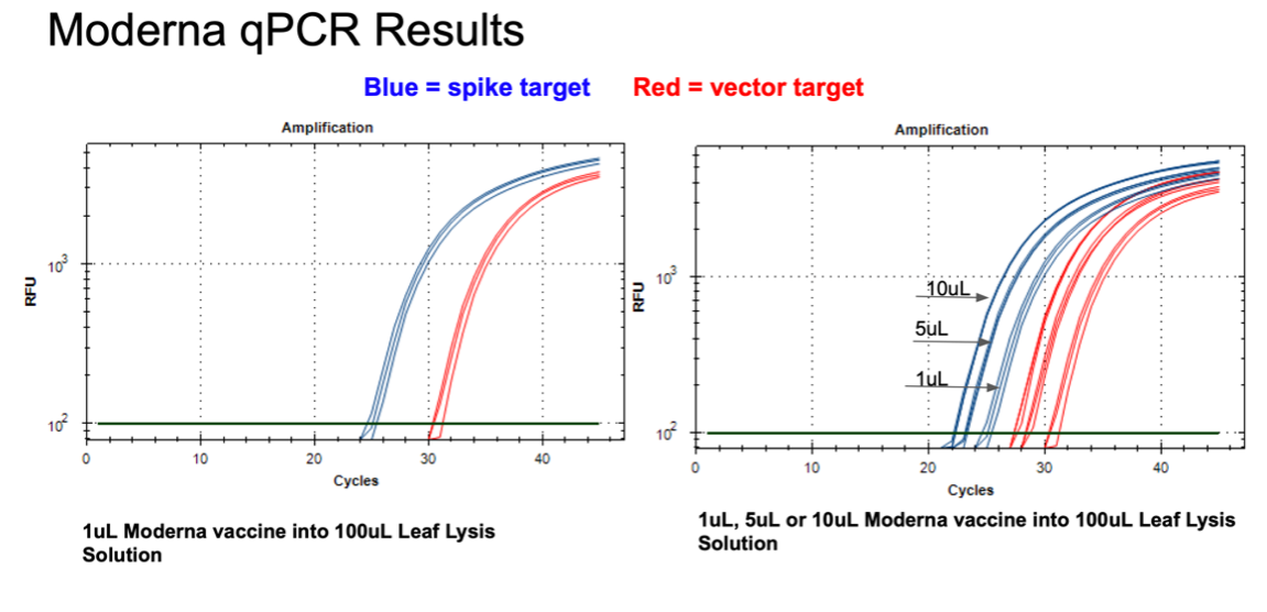 Sequencing of bivalent Moderna and Pfizer mRNA vaccines reveals ...
