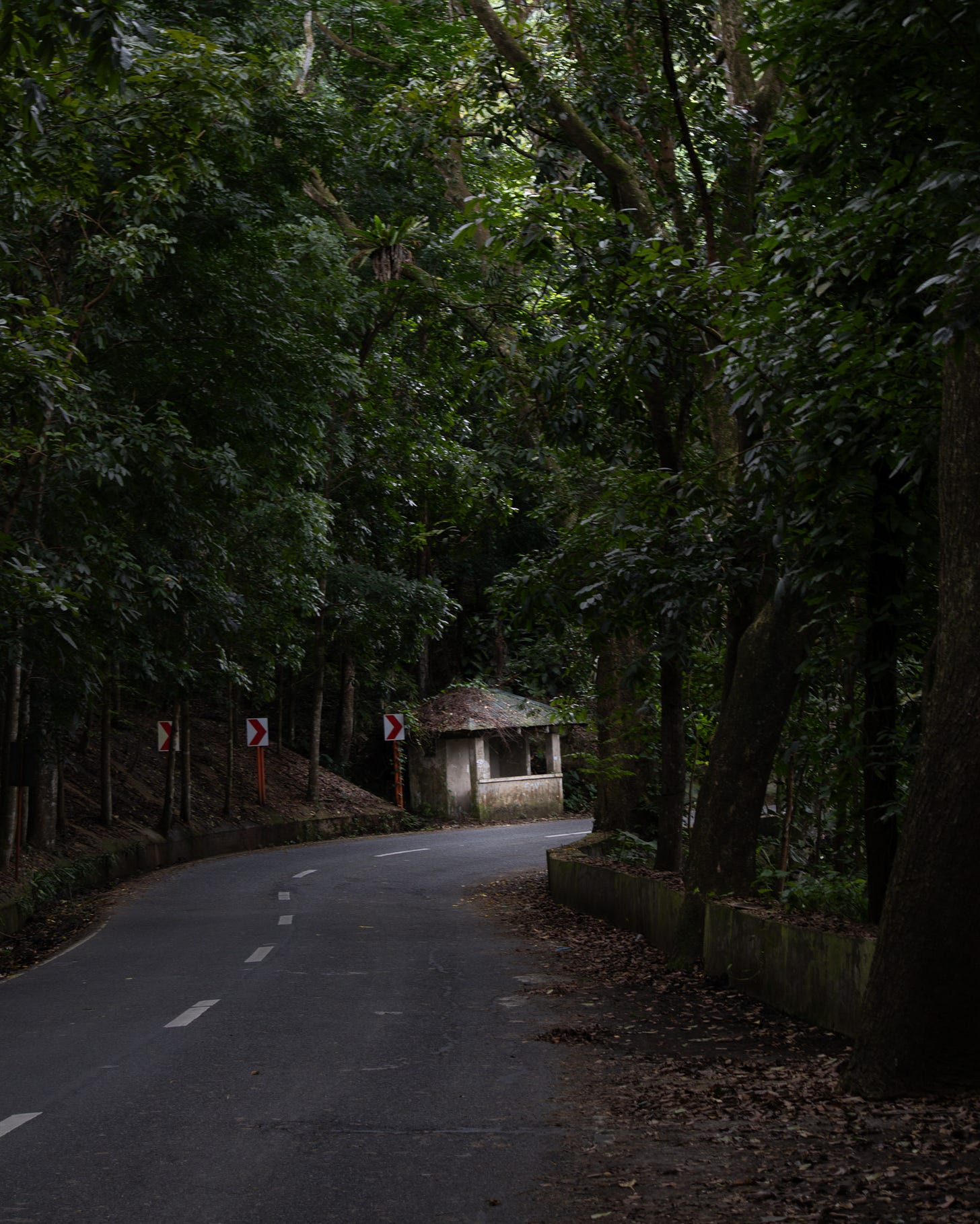 Day 07 — Ilaya, Ilawod - by Vince Imbat - The Long Walk