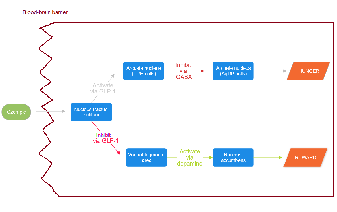 Why Does Ozempic Cure All Diseases? - by Scott Alexander