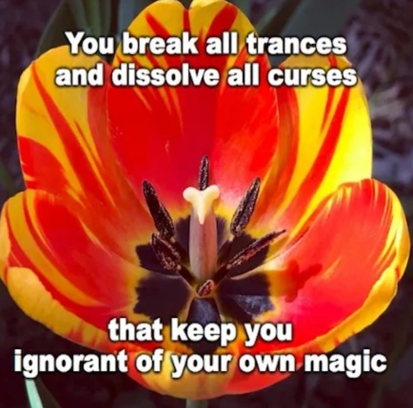 You May Be Your Perfect Partner