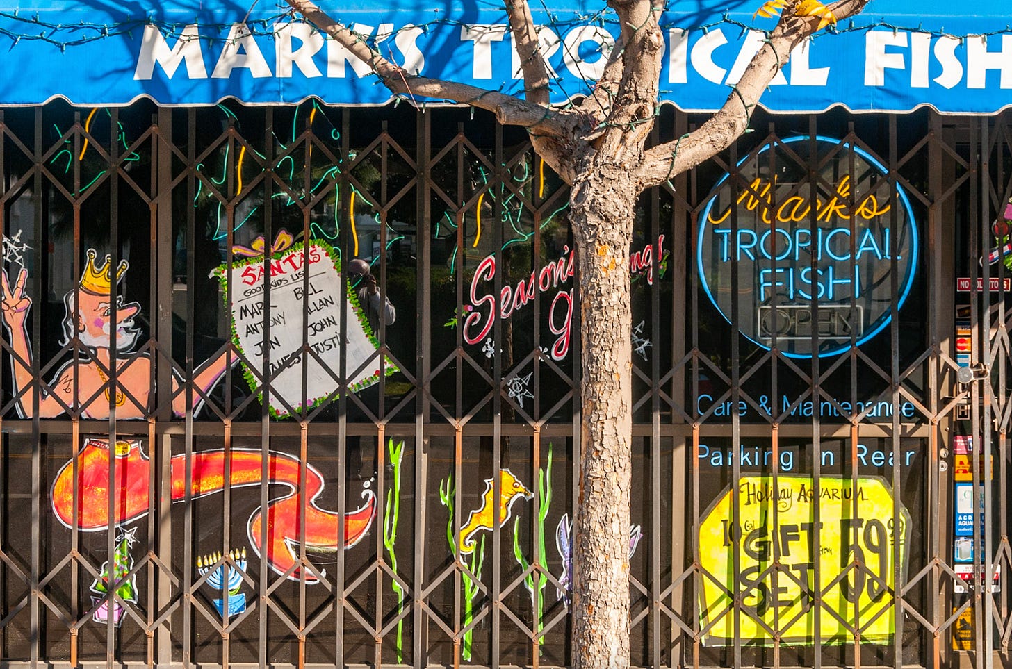 Mark Indig - PHOTOSNACK