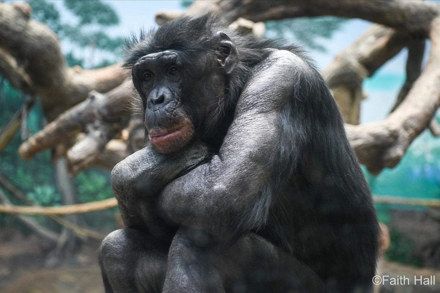 See how many more zoo animals have “died suddenly” in just the last ...
