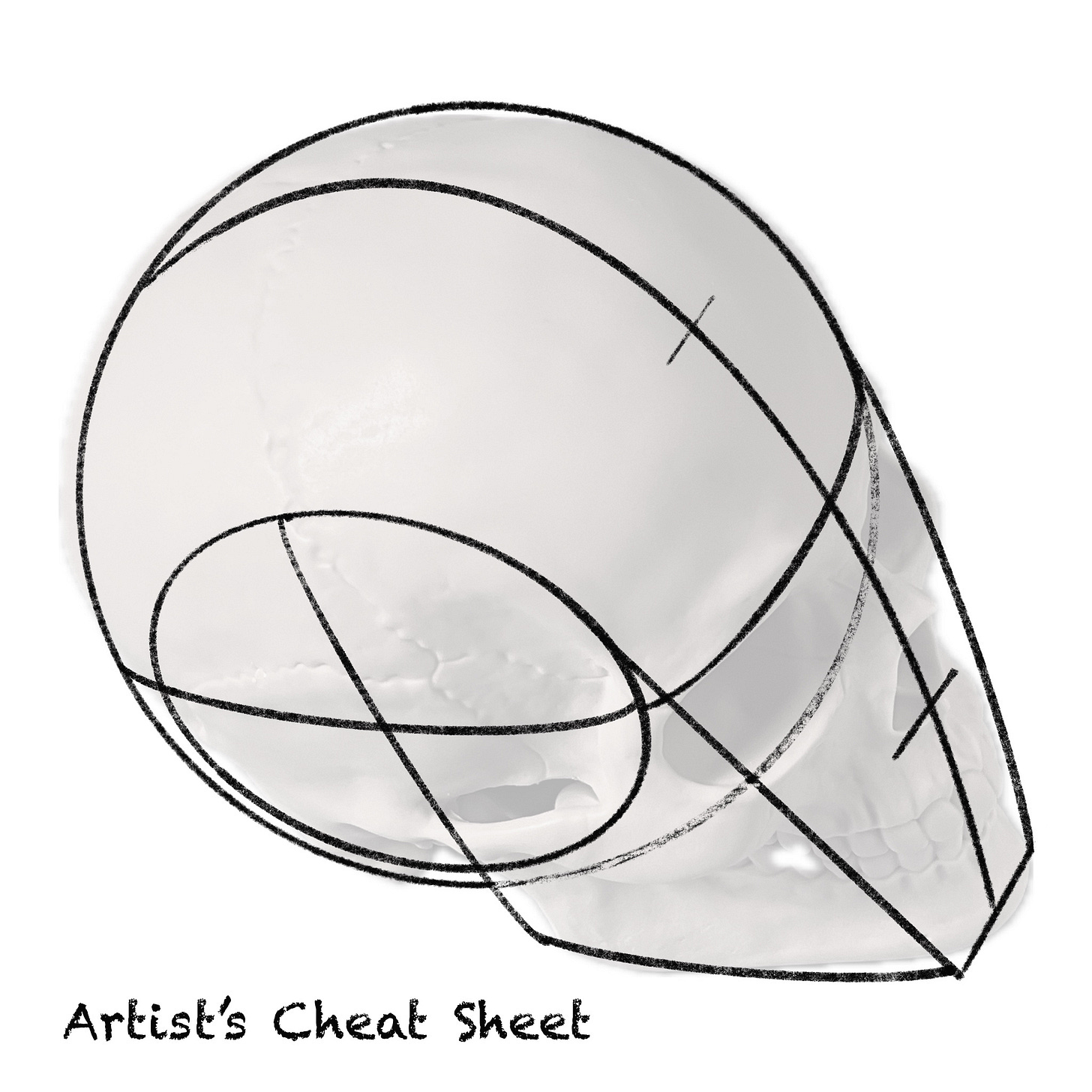 Portrait Series: Loomis Head - by Zoungy Kligge