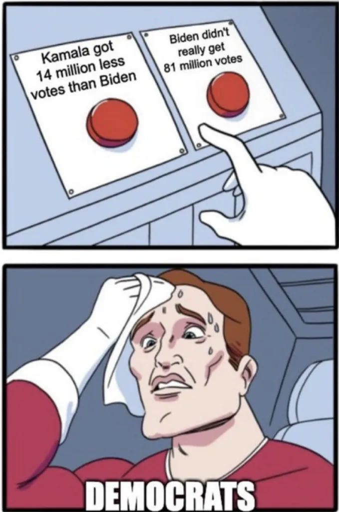 Ann Barnhardt Memes - Edwin’s Newsletter #1