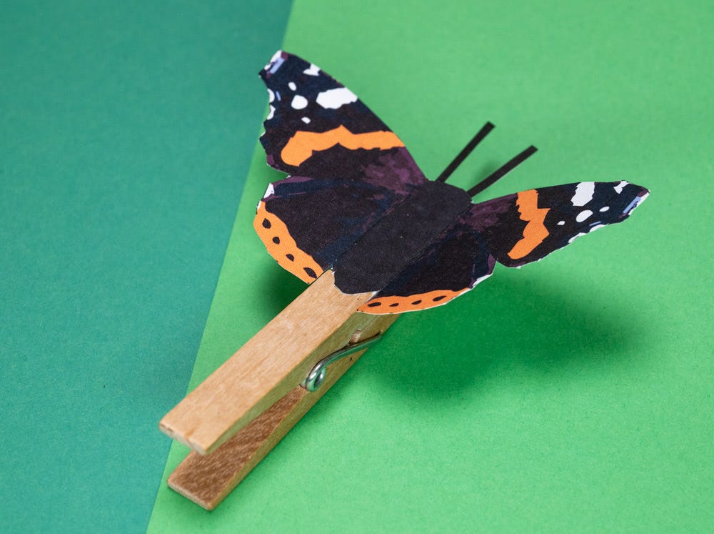 Butterflies - Rob Ives Workshop Notes