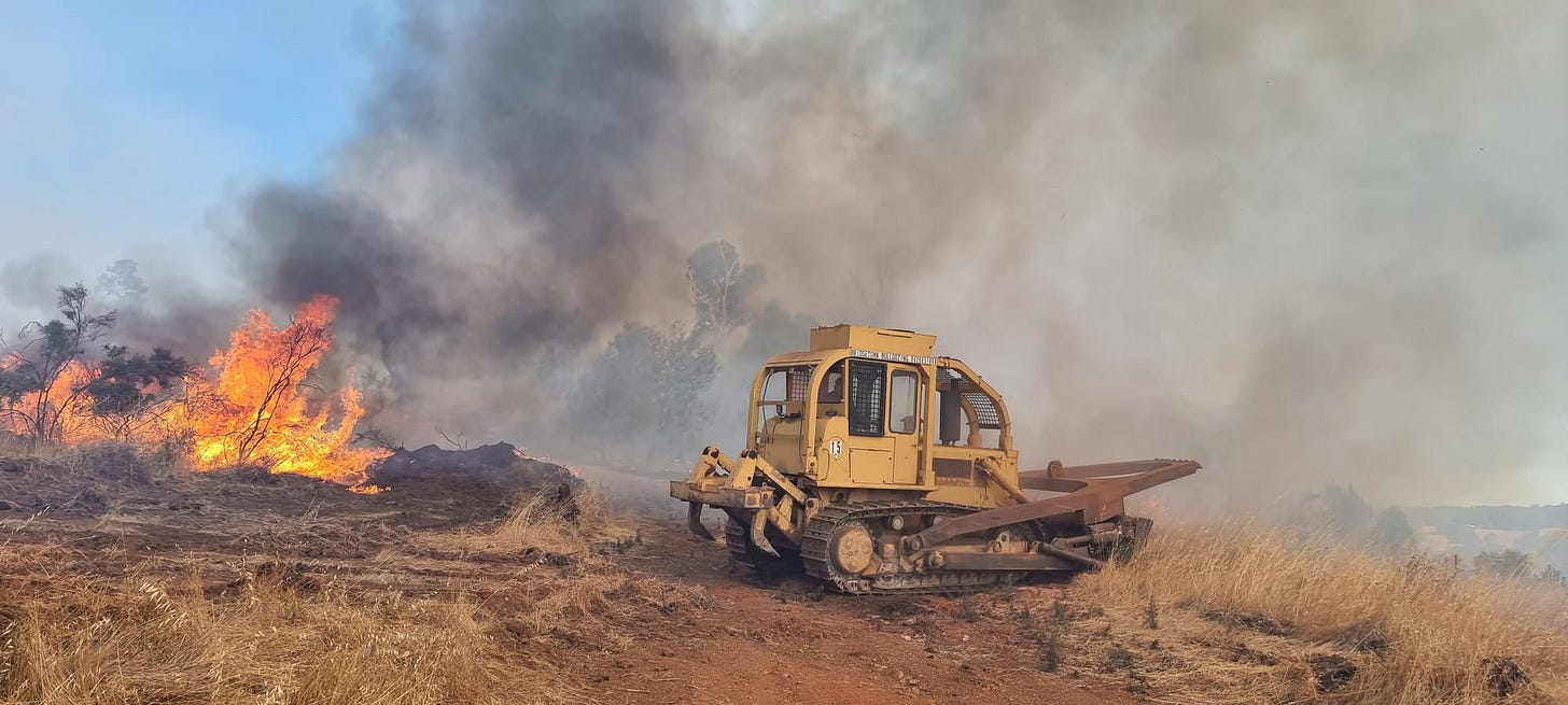 Fighting Fire with Fire - Quillette’s Substack