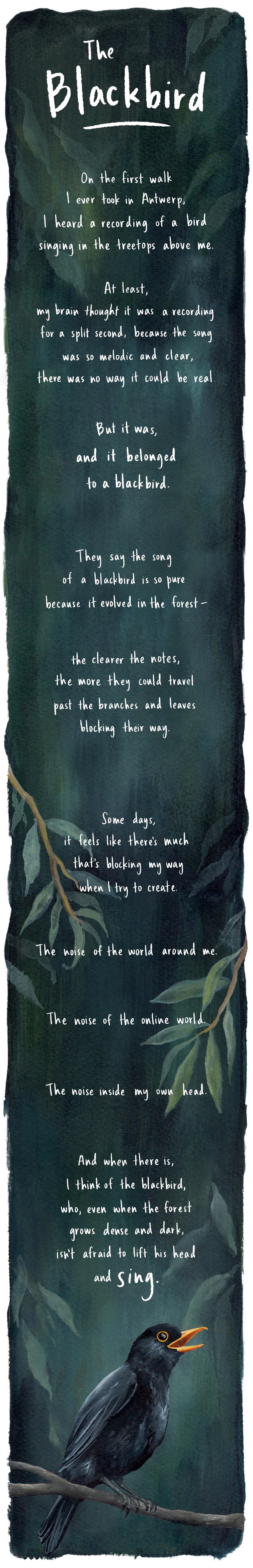 The Blackbird - by Candace Rose Rardon