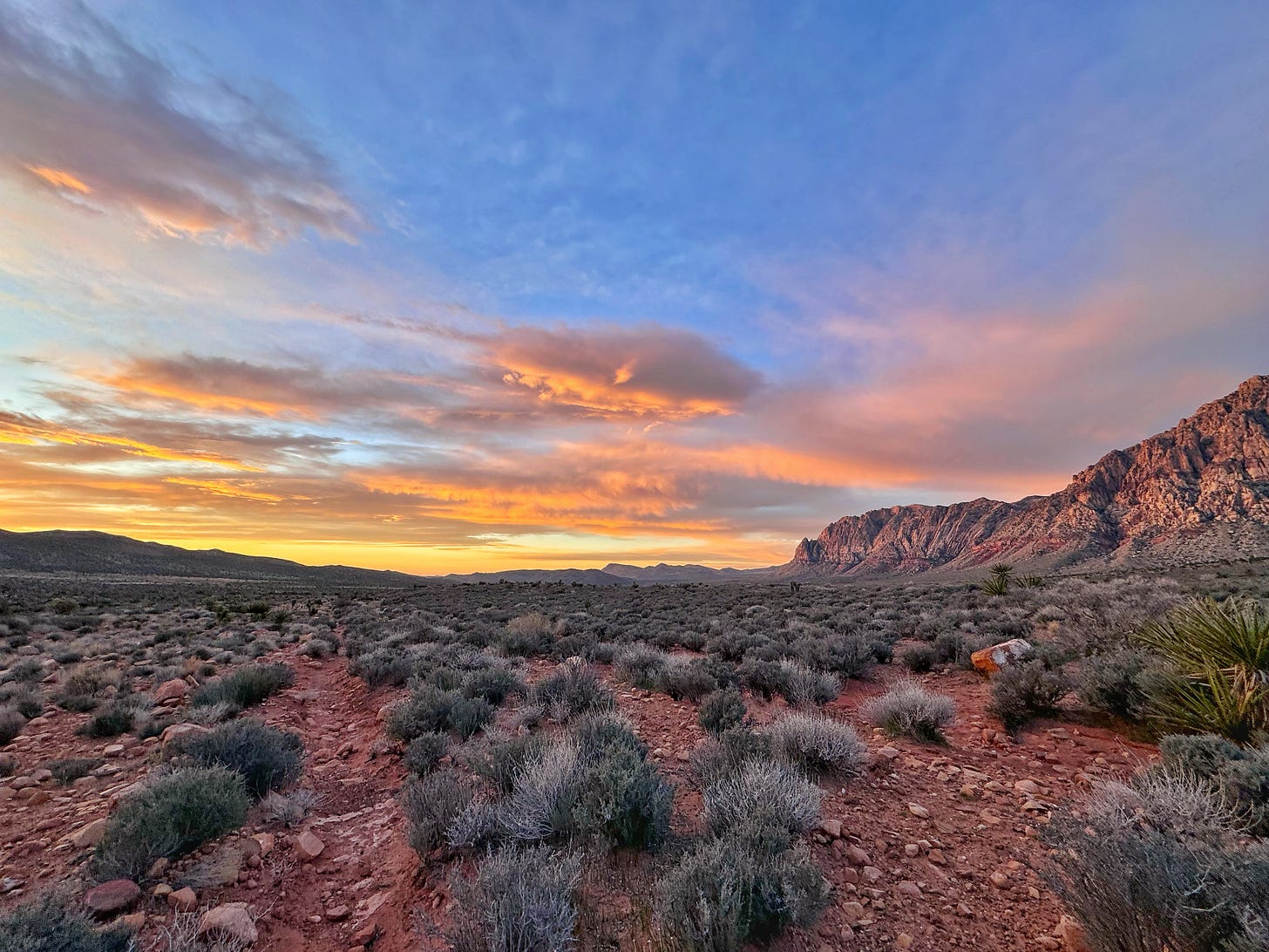 Happy Birthday, Emily (& Atticus)! - Tom Ryan, Author