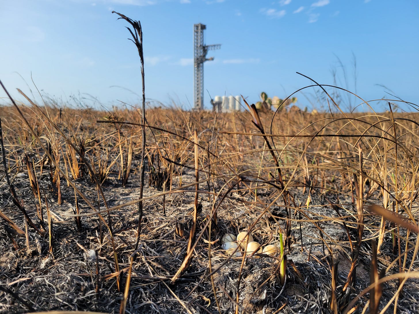 Photos from the SpaceX debris field - by Eric Roesch
